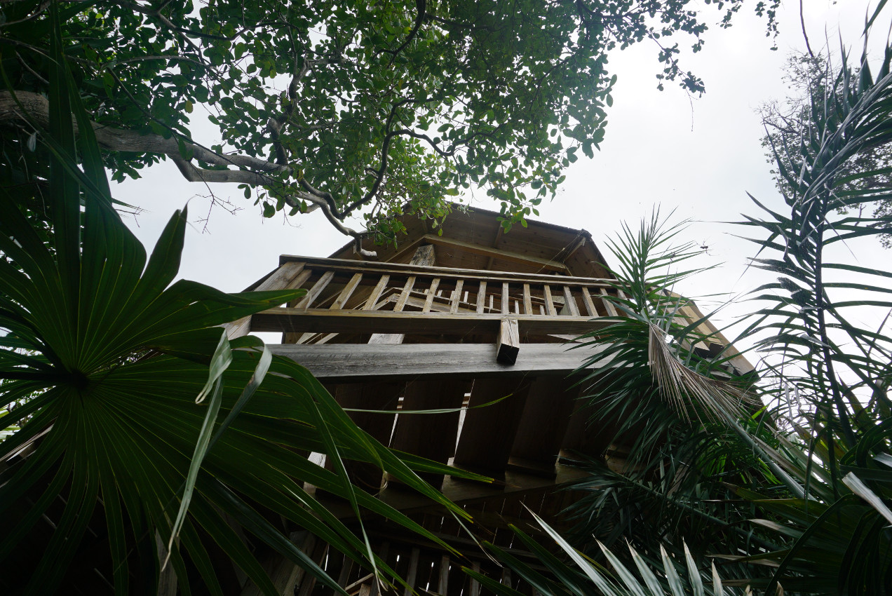Leon Levy Native Plant Preserve in Governor’s Harbour [Bahamas] – Mary ...